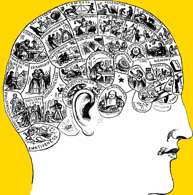 C'est quoi la collapsologie ? Lexique de l'effondrement (2/2)