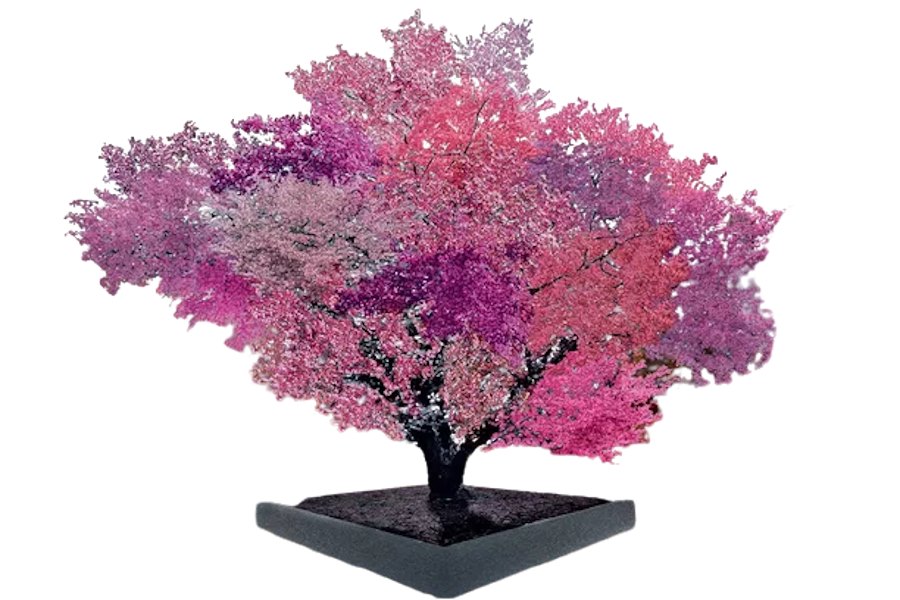 arbre aux 40 fruits - EscapeTheCity